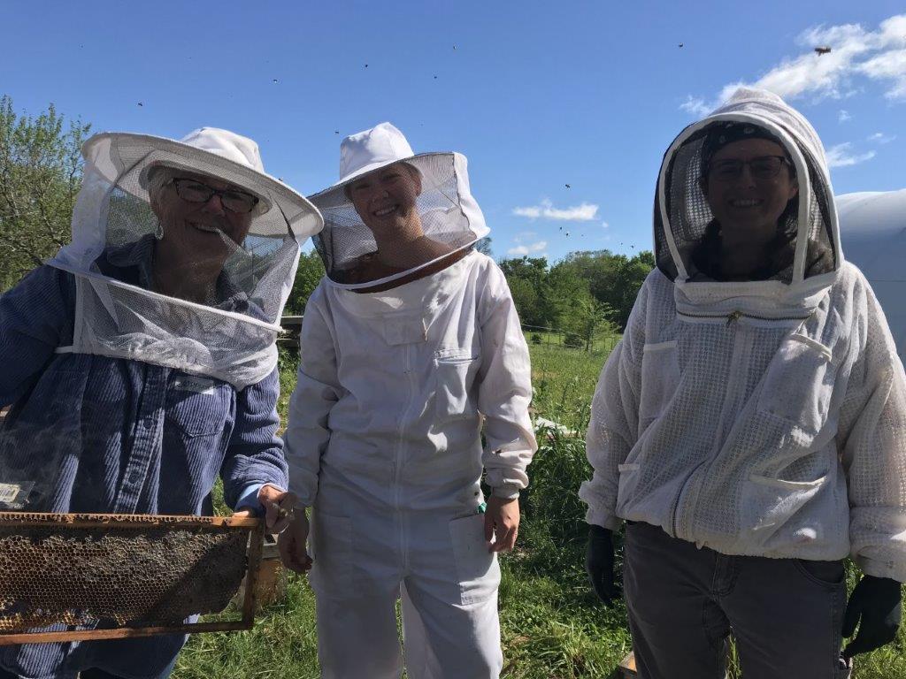 The Practical Beekeeper, Beekeeping Naturally, Bush Bees, by Michael Bush